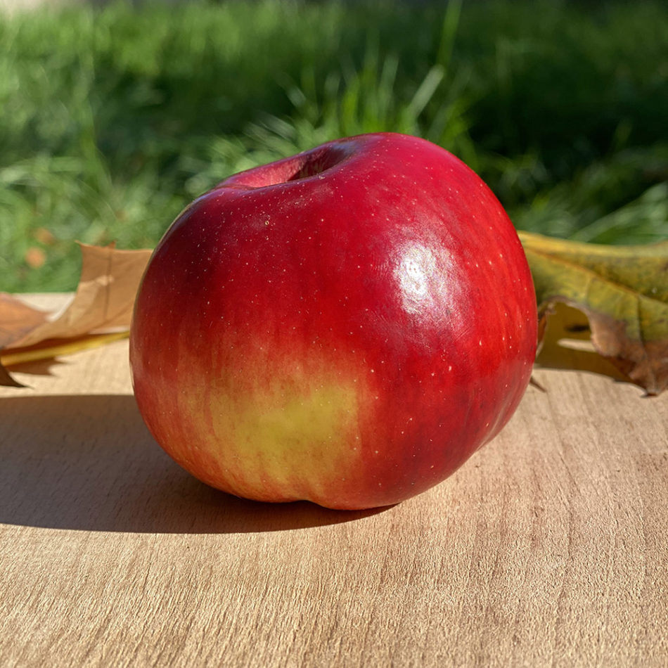 Mere Ionatan / kg - Craita Merelor