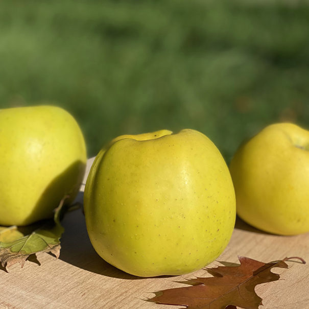 Pravalie - Craita Merelor