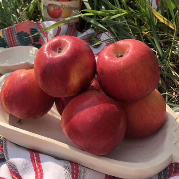 Pravalie - Craita Merelor